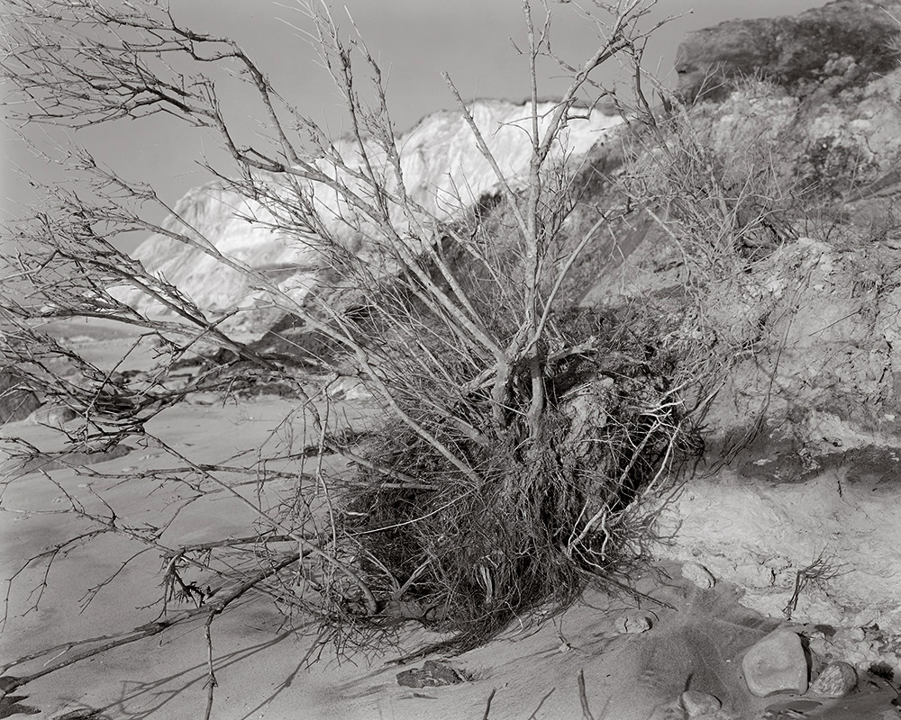 Beach, Landscape - Stephen DiRado