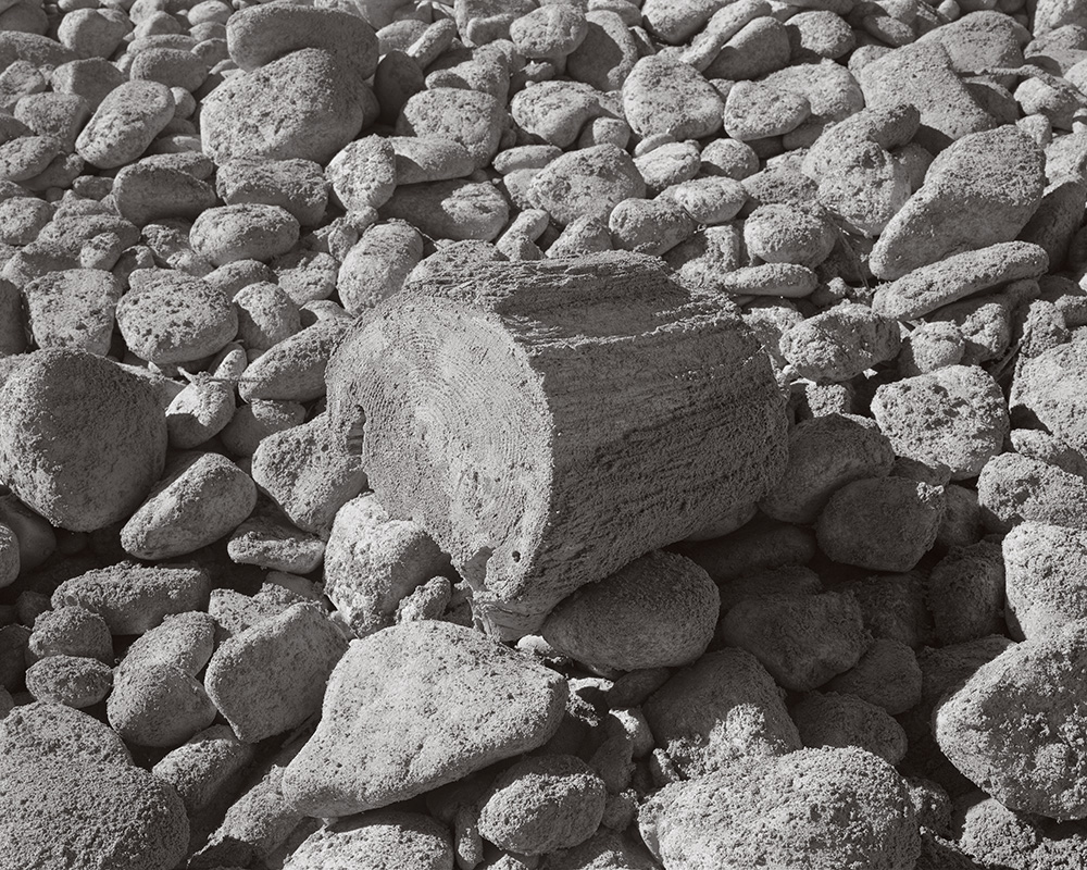 Beach, Landscape - Stephen DiRado