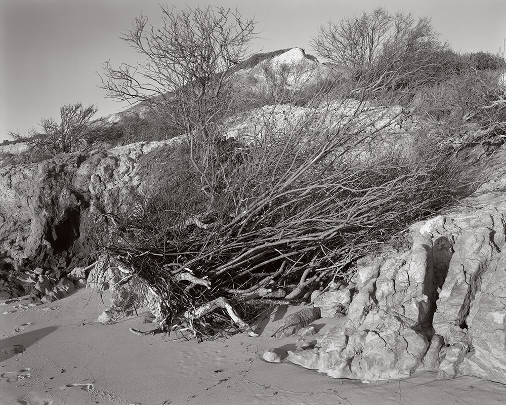 Beach, Landscape - Stephen DiRado