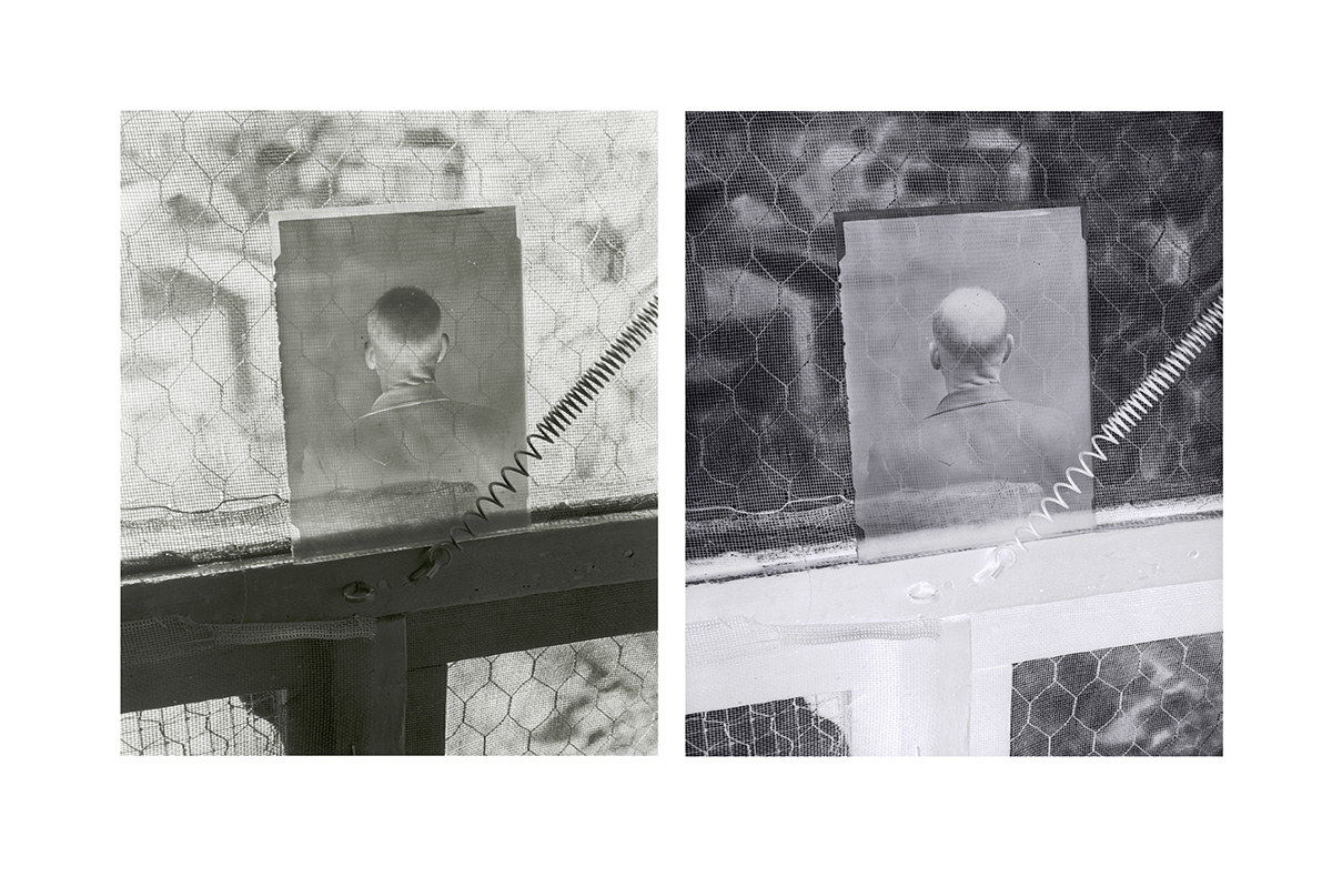 Jacob's House - Stephen DiRado