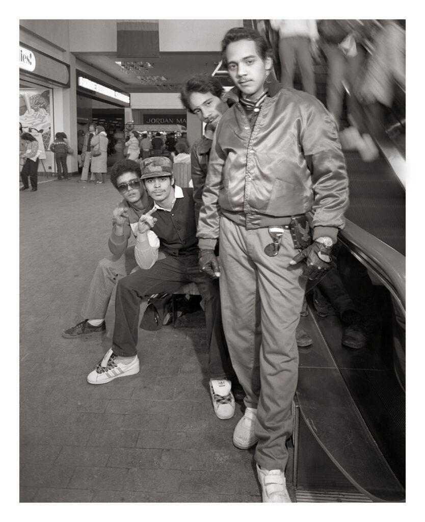 Mall Series - Stephen DiRado