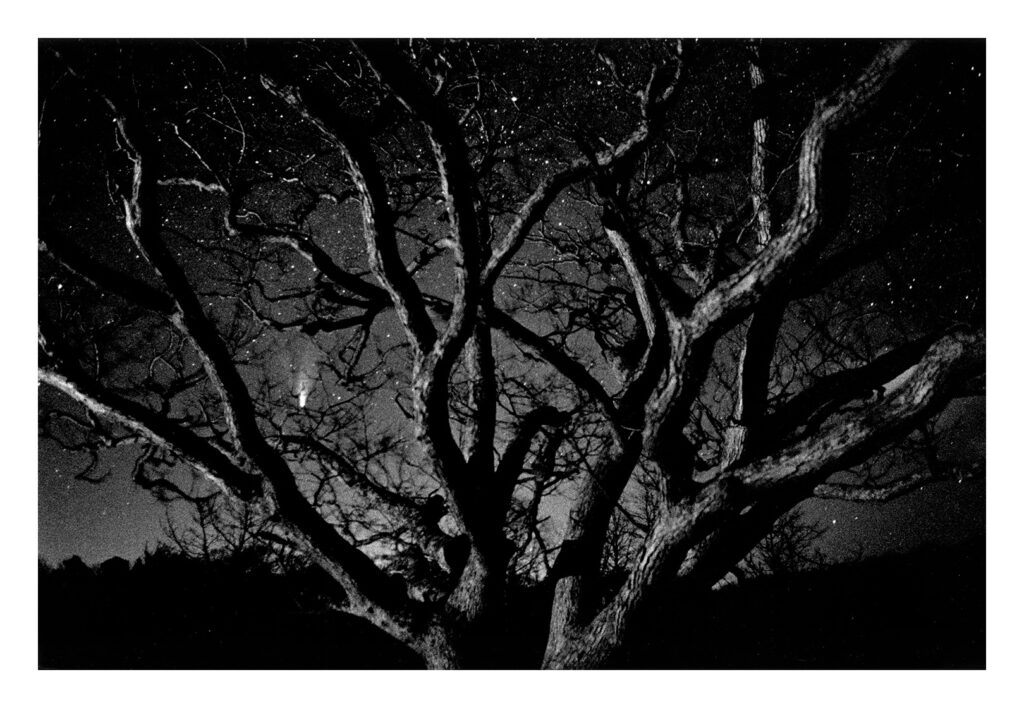 Celestial - Stephen DiRado