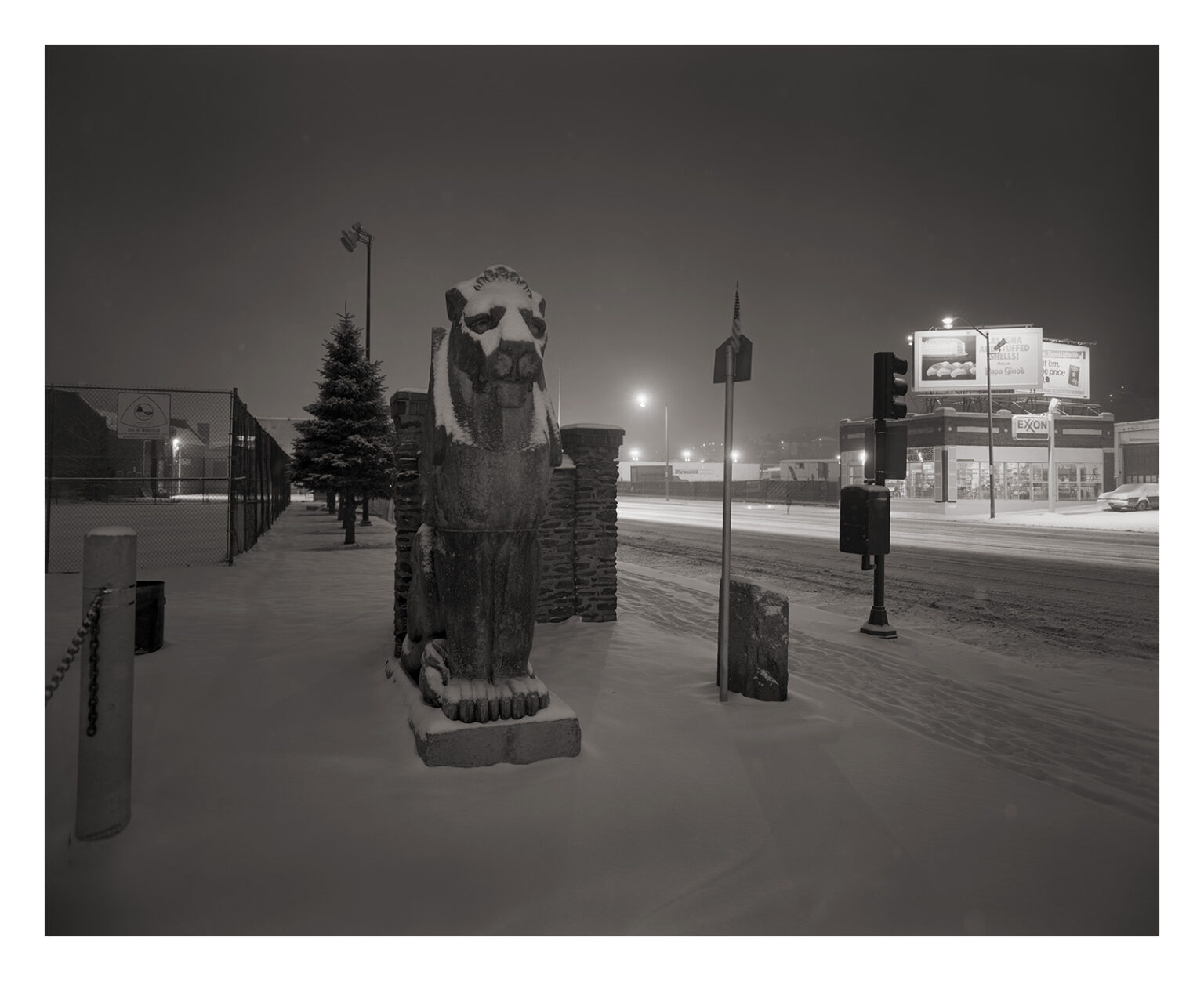 Worcester, 1985 to the Present - Stephen DiRado