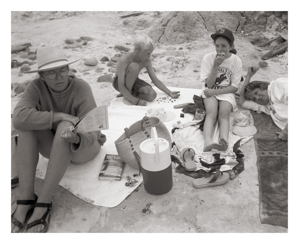 Beach, Early Work - Stephen DiRado