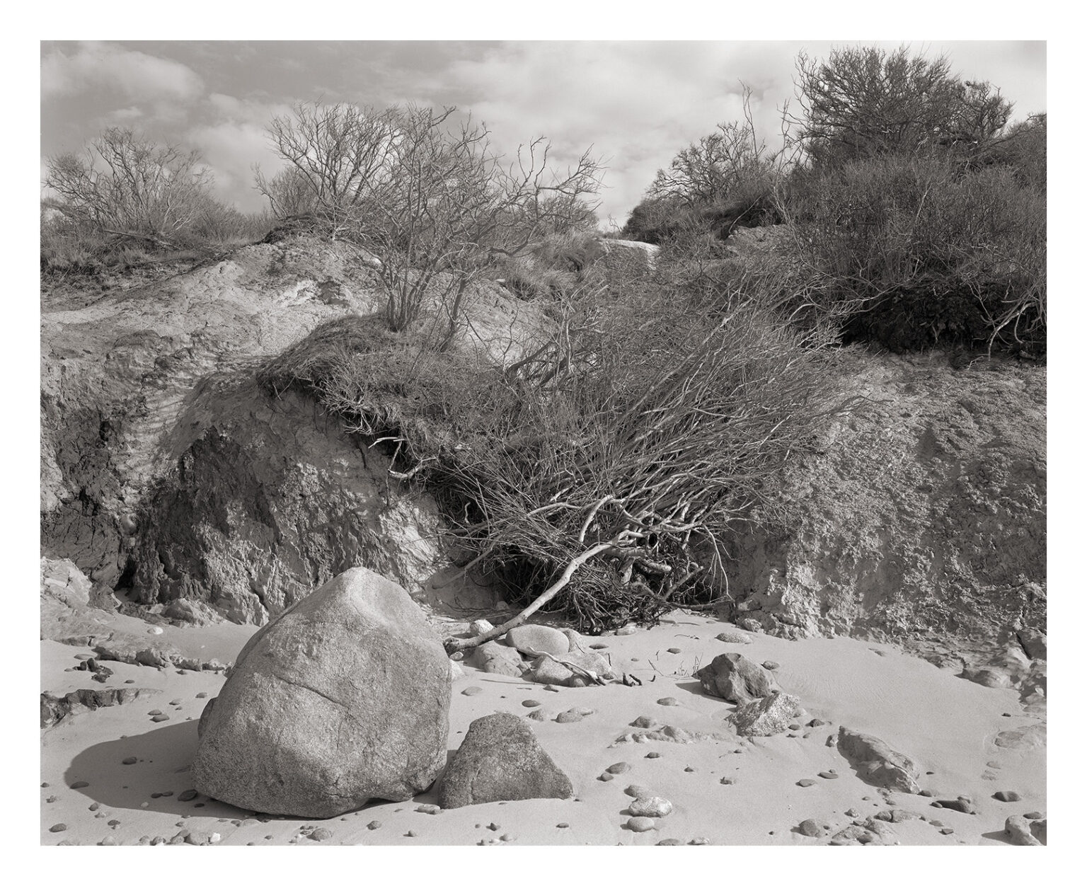 Landscapes and Architecture - Stephen DiRado