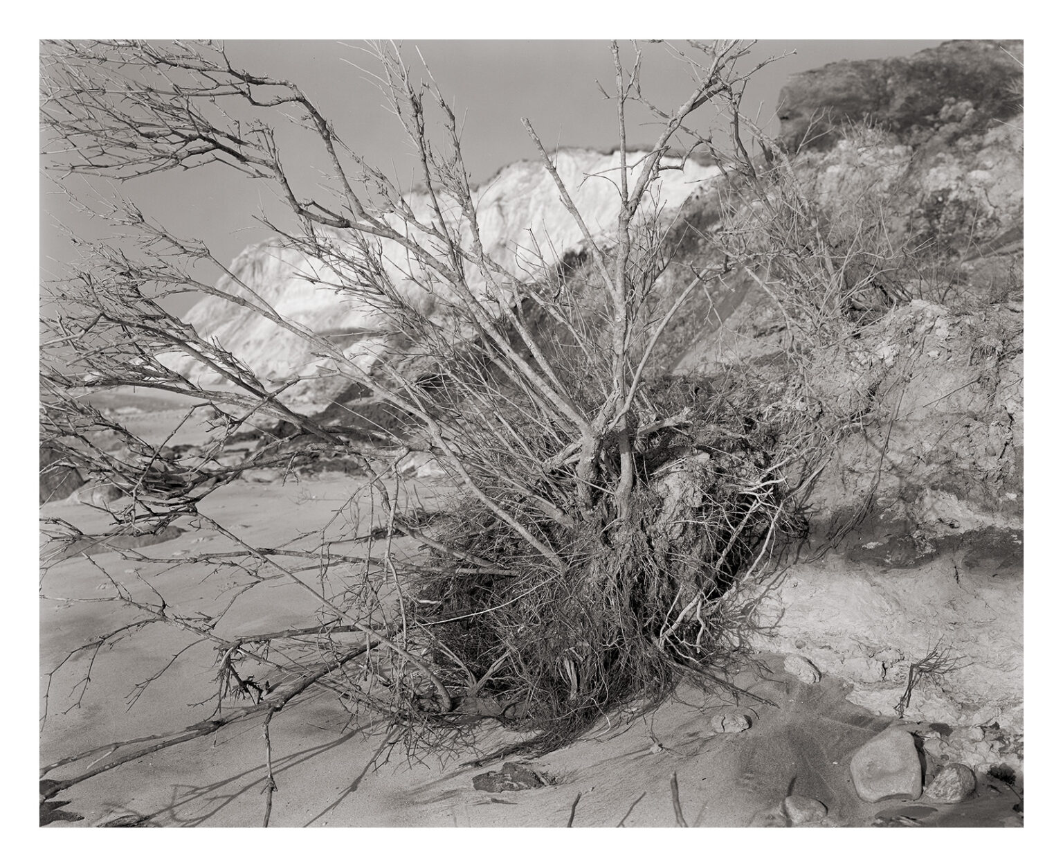 Landscapes and Architecture - Stephen DiRado