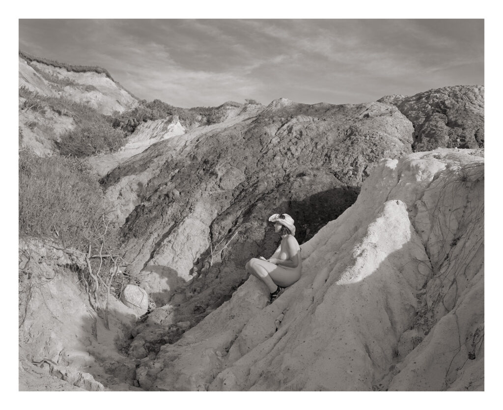 Landscapes and Architecture - Stephen DiRado