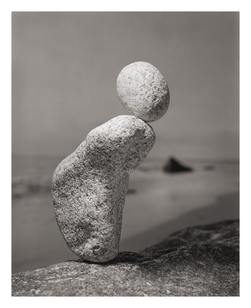 Landscapes and Architecture - Stephen DiRado