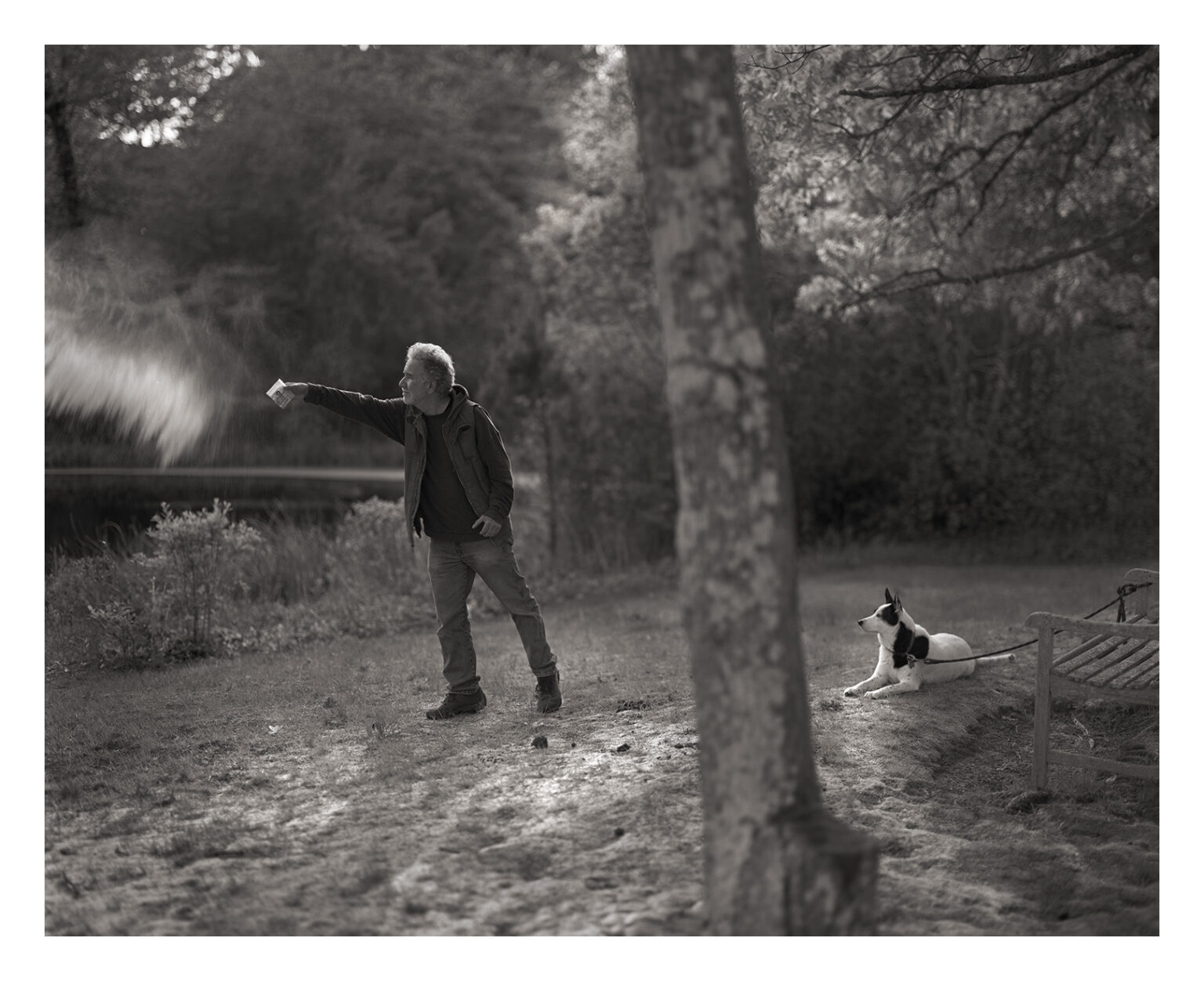 In the Present Day - Stephen DiRado